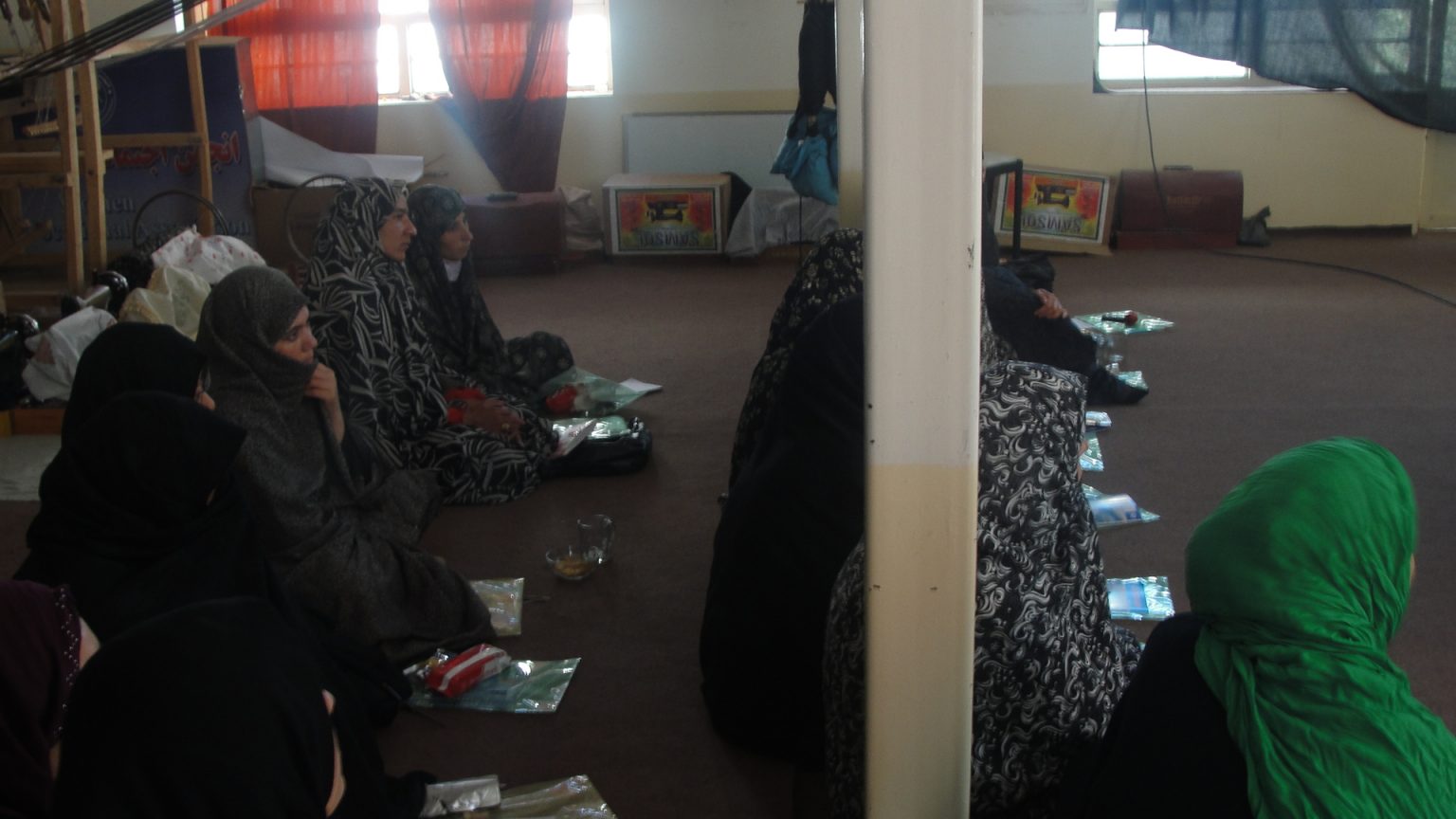 Conducting the Internal Governance training program for government ...