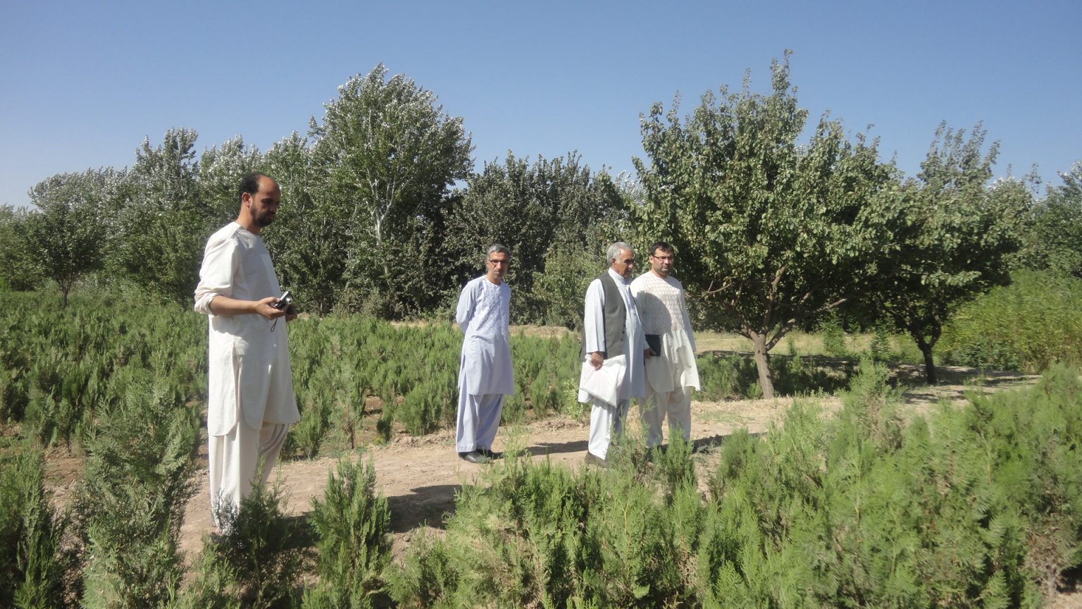 Visiting the Serjungle and Ordo-Bagh nurseries of Gozara district ...